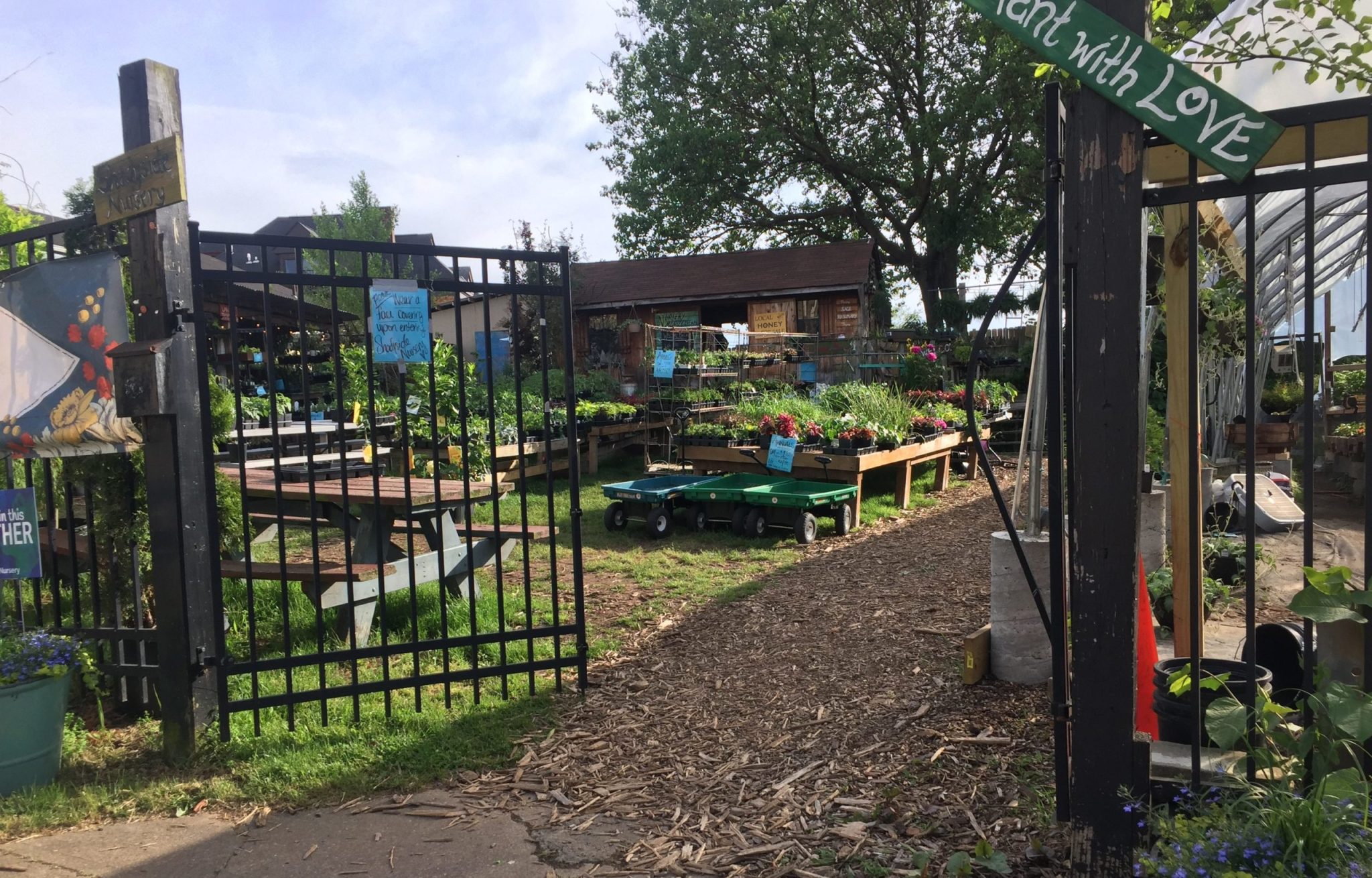 SHADYSIDE NURSERY – Your local one stop shop for all of your garden needs
